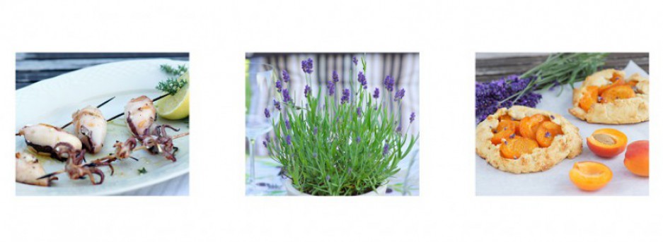 cropped-cropped-header-blog-2.jpg – Flavoured with Love